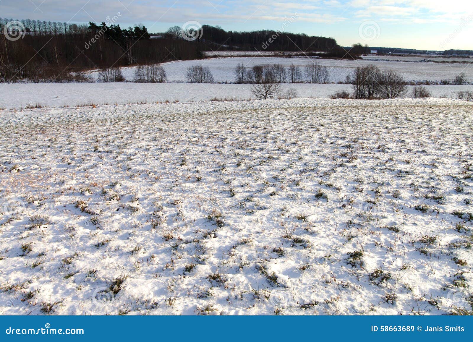 Snowy field. stock image. Image of fresh, frost, countryside - 58663689