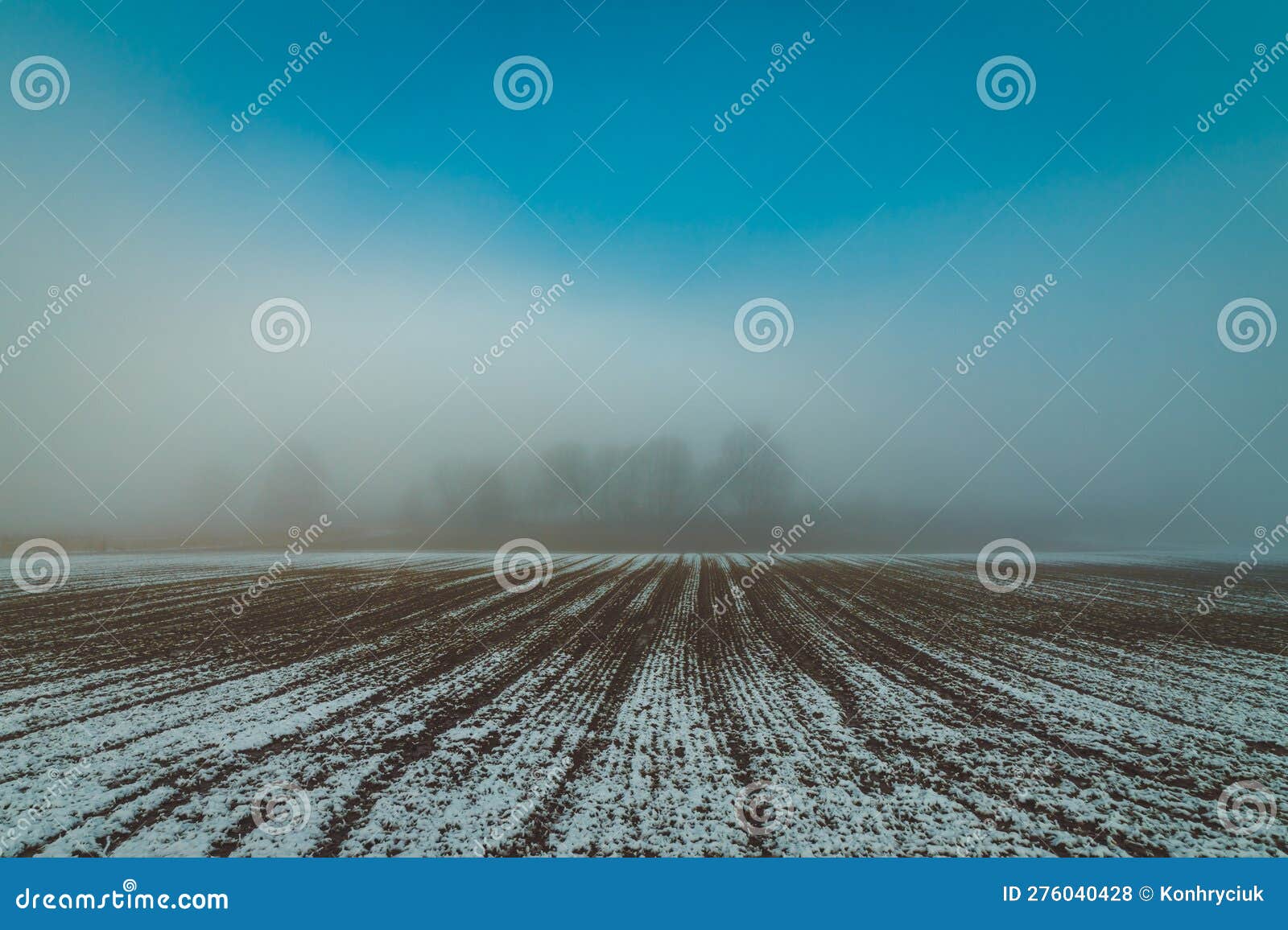 Snowy Field in the Mist with Trees in the Background Stock Photo ...