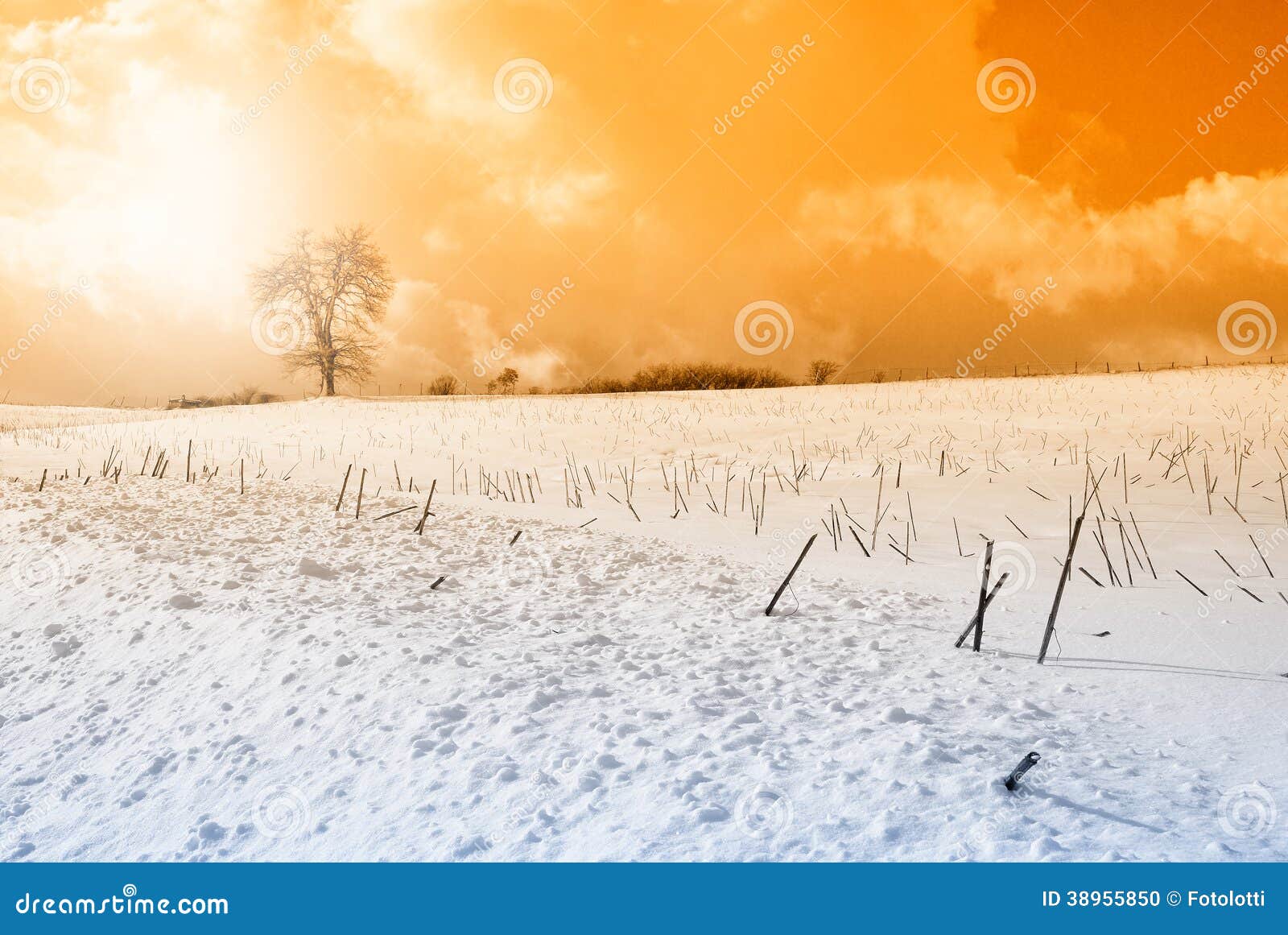Snowy field at sunset stock photo. Image of white, freeze - 38955850
