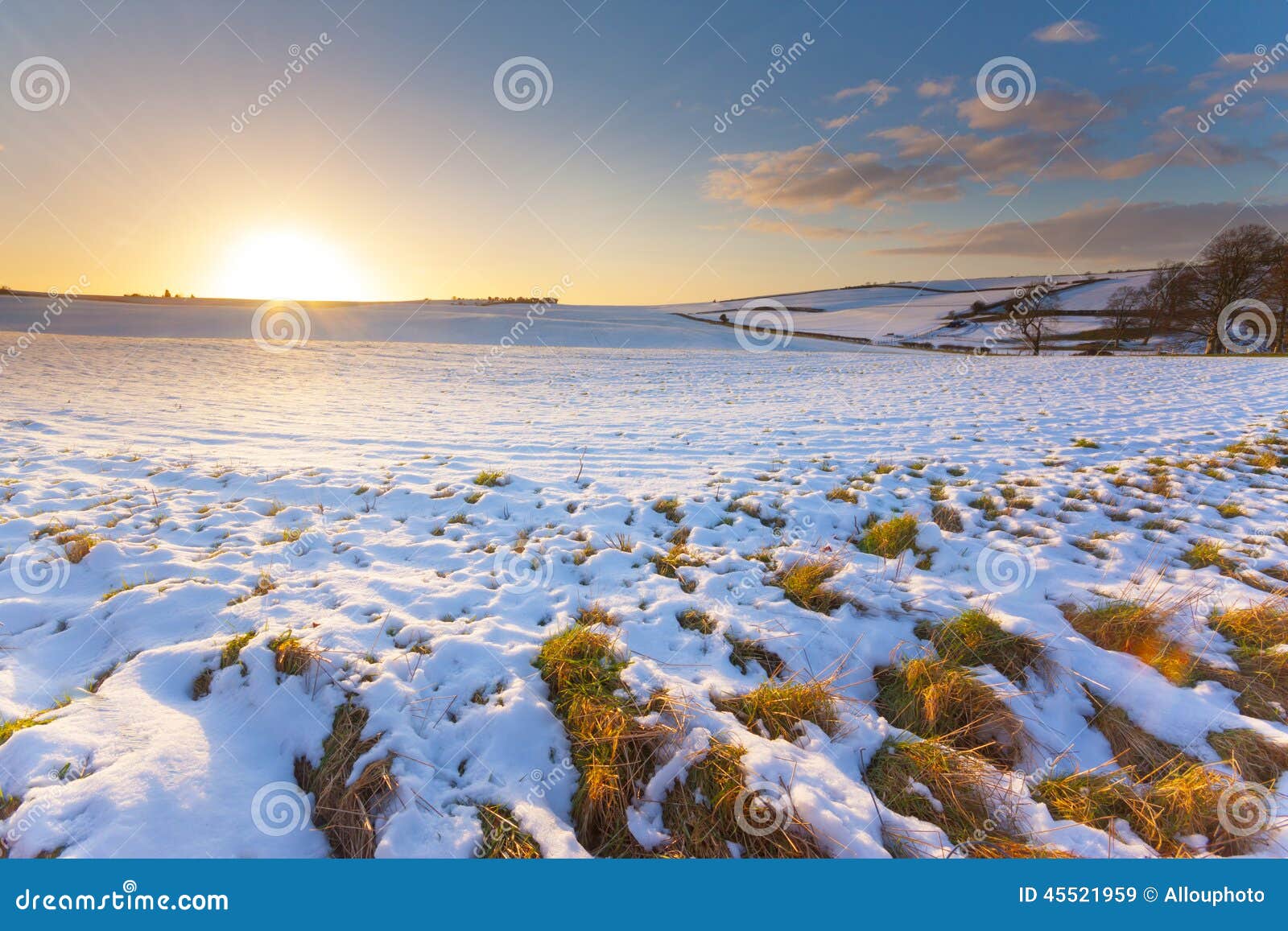 Snowy Field at Sunset Under Blue Skies Stock Image - Image of hiking ...