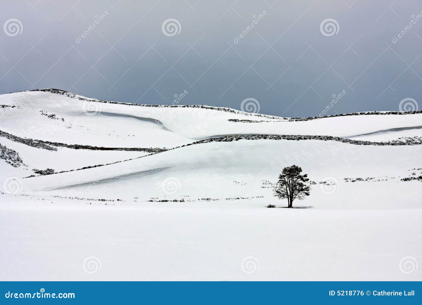 Snowy Field With Tractor Tracks, Seasonal Agriculture Background ...