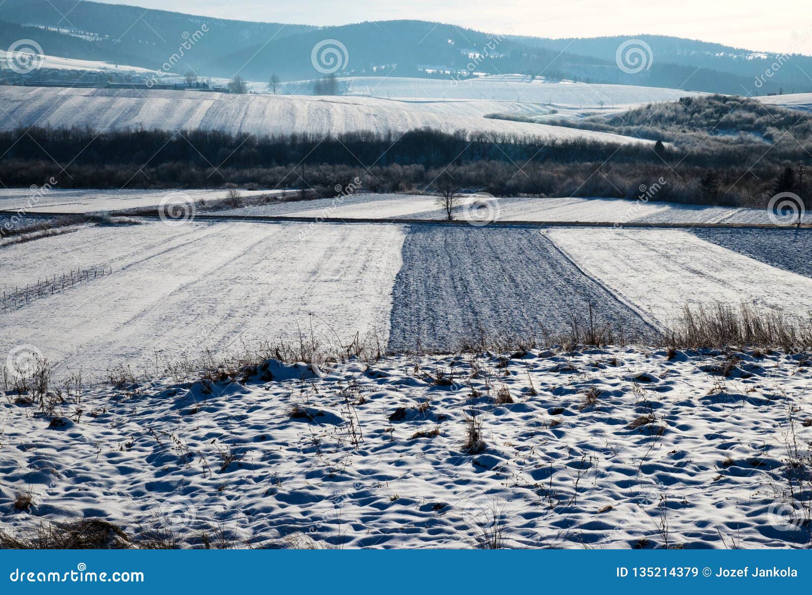 Snowy fields and landscape stock image. Image of slovakia - 135214379