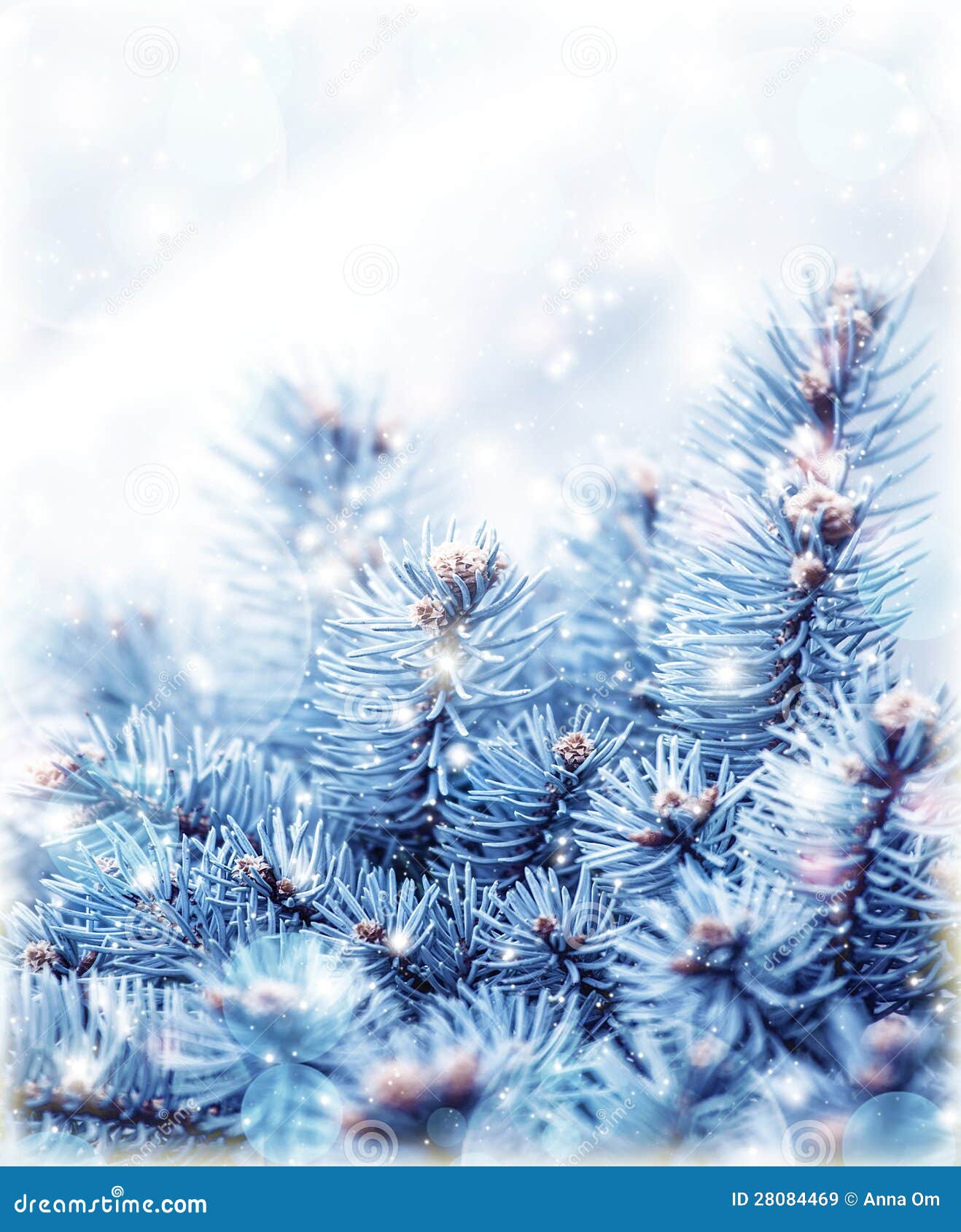 Snowy fir tree background stock image. Image of december - 28084469