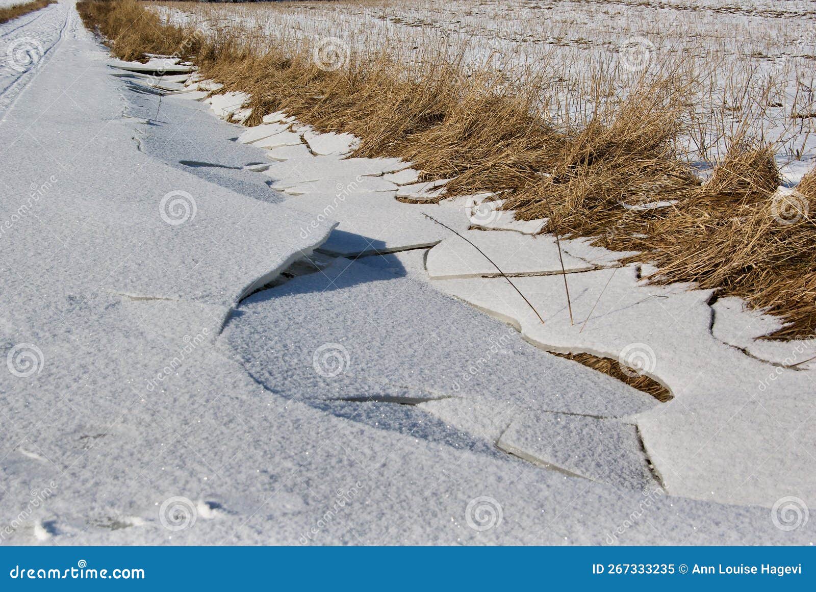 Snowy Footpath with Ice Sheets Stock Image - Image of nature, snow ...