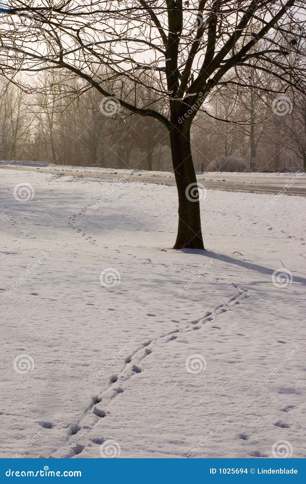 Snowy Footprints stock photo. Image of holiday, holidays - 1025694