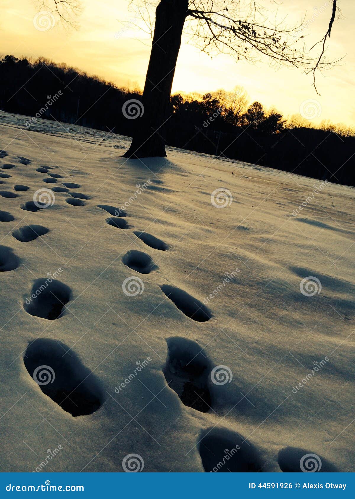 Snowy Footprints stock photo. Image of side, footprints - 44591926