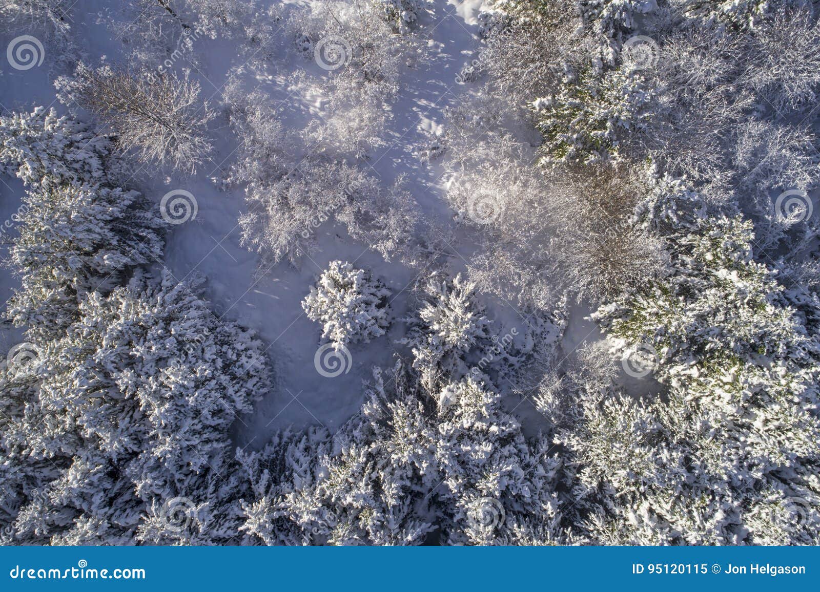 Snowy forest stock image. Image of aerial, tree, landscape - 95120115
