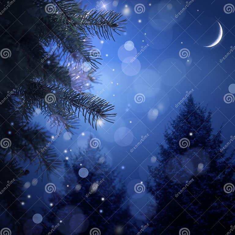 Snowy Forest on Christmas Night Stock Photo - Image of fence, cold ...