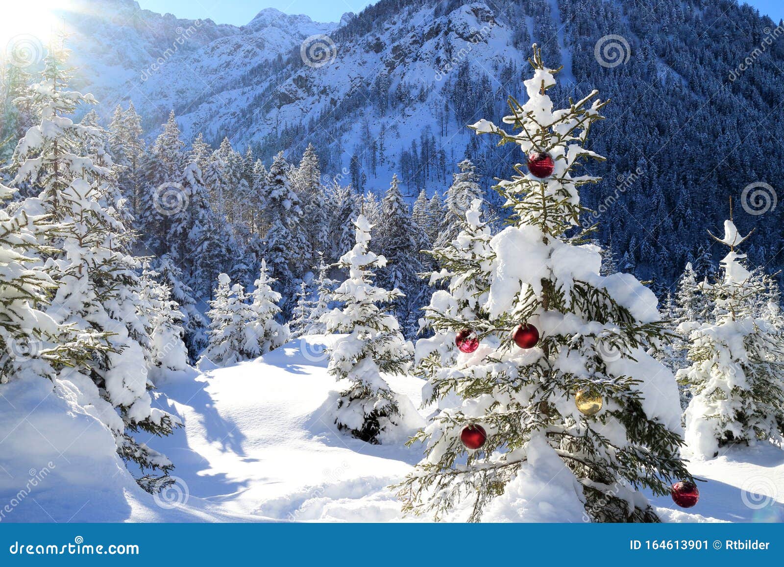 Snowy Forest with Christmas Tree Stock Image - Image of cloud, majestic ...
