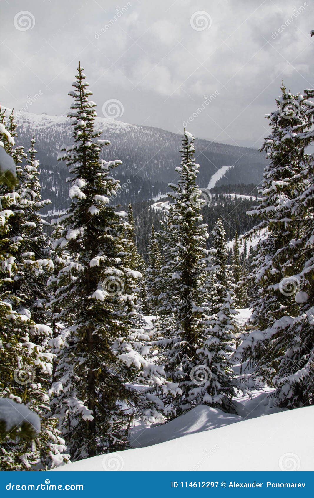 Ely on the Background of an Excellent Mountain Landscape. Stock Image ...