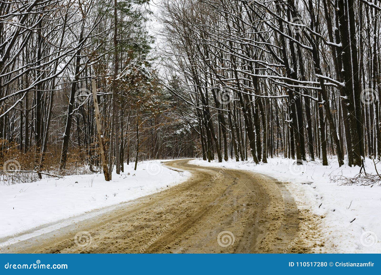 A snowy forest road stock photo. Image of scene, snowy - 110517280