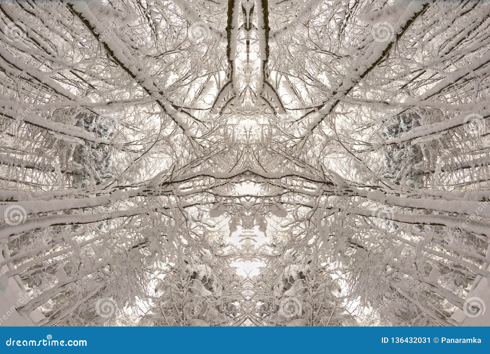 Snowy Forest and Sky in Perspective Stock Image - Image of blue, beauty ...