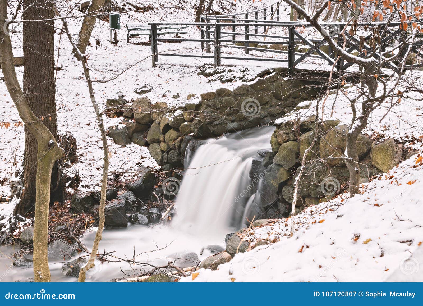 Snowy forest waterfall stock image. Image of beautiful - 107120807
