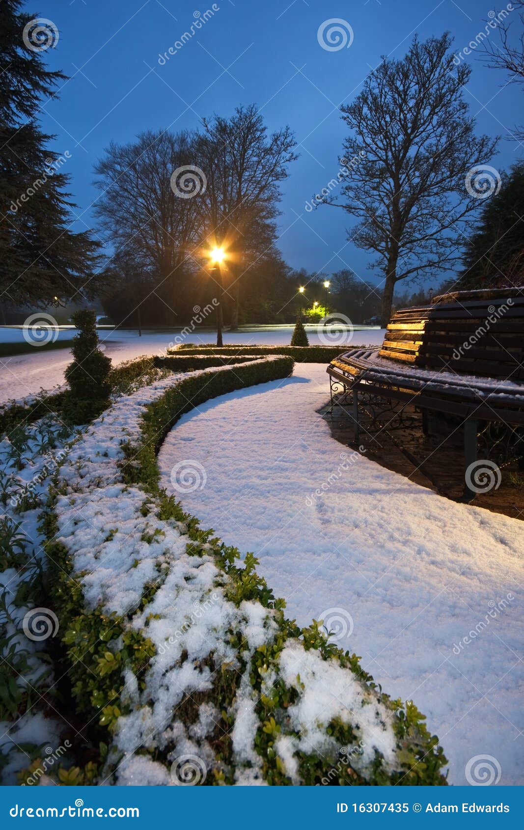 Snowy Formal Garden at Dusk Stock Image - Image of lamppost ...