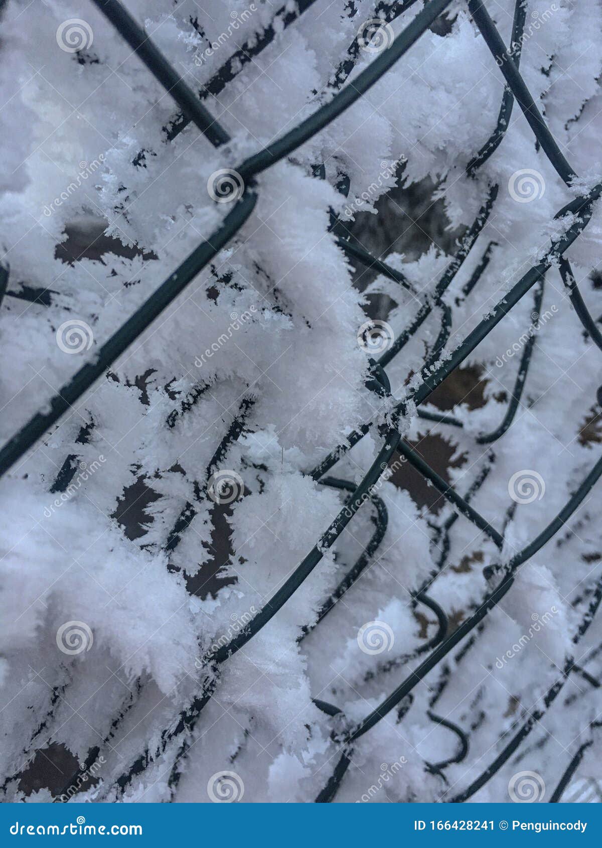Snowy frozen fence macro stock image. Image of fence - 166428241
