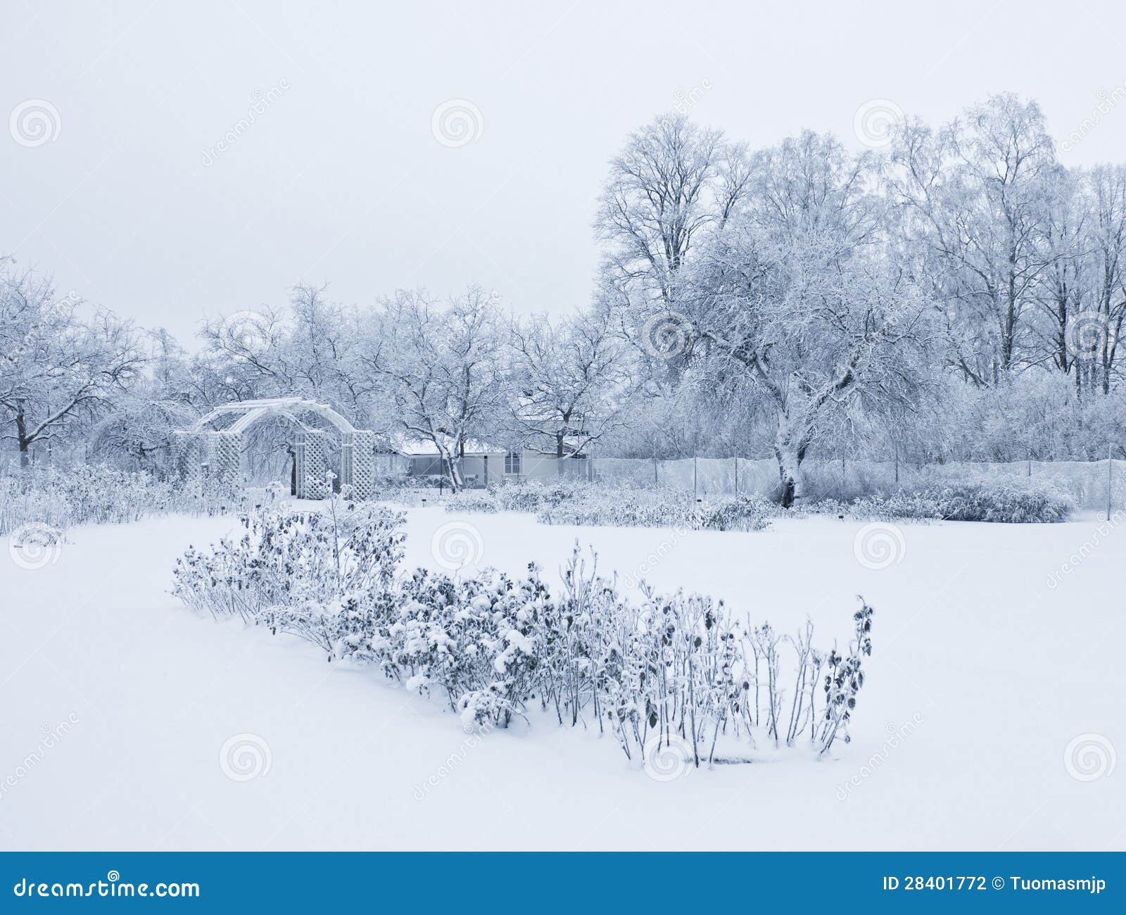 Snowy garden stock photo. Image of freeze, travel, branch - 28401772