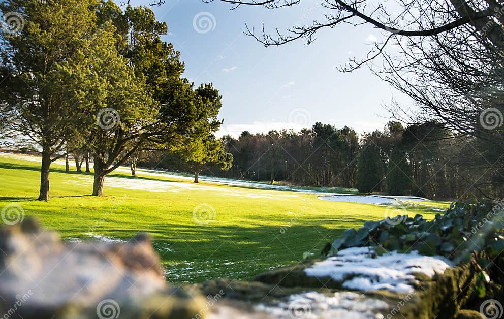 Golf course stock photo. Image of trees, snowy, golf - 138752596