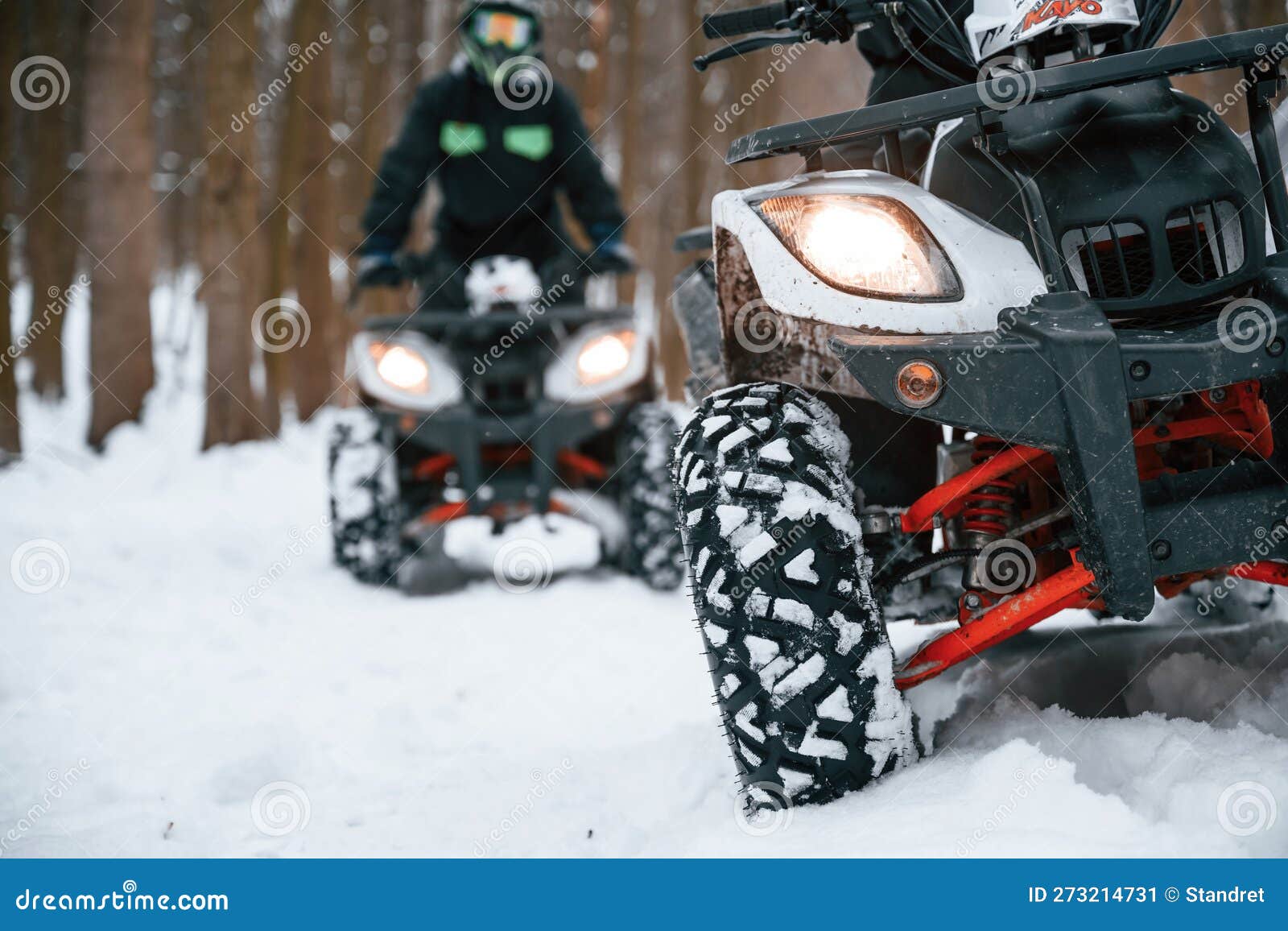 On the Snowy Ground. Two People are Riding ATV in the Winter Forest ...