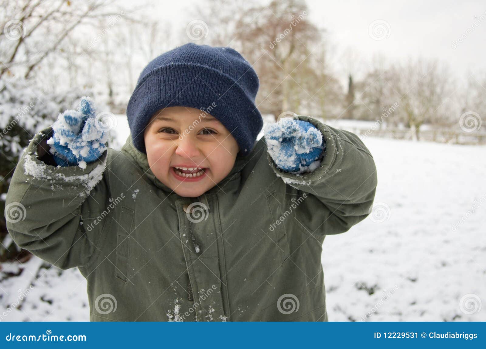 Snowy Hands stock image. Image of cheerful, freeze, life - 12229531