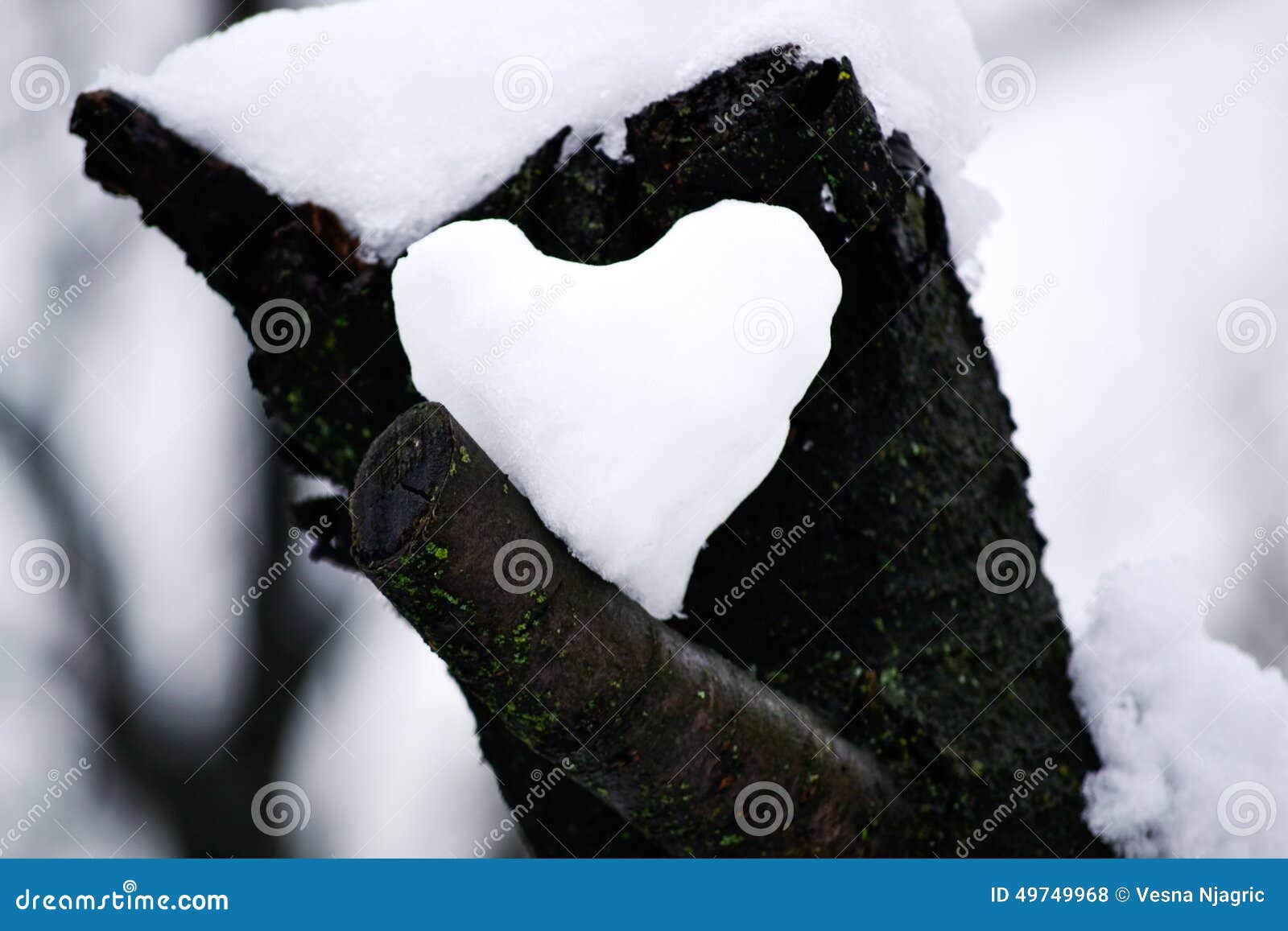 Snowy heart stock photo. Image of romantic, snow, snowy - 49749968