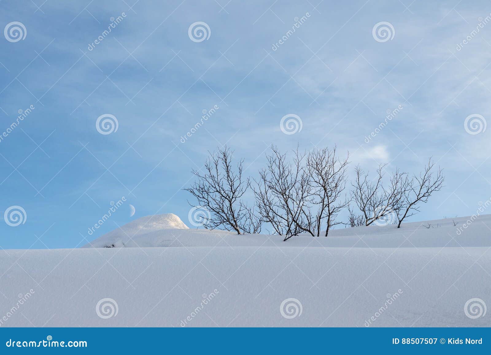 Snowy hills and trees. stock image. Image of fresh, blue - 88507507