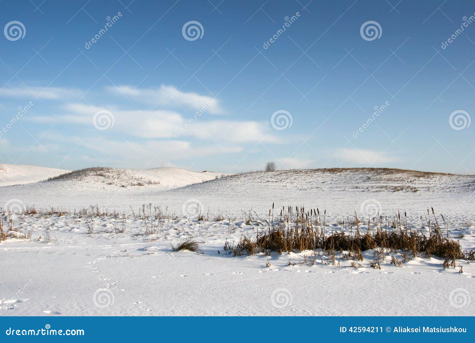 Snowy hills in the winter stock image. Image of landscape - 42594211