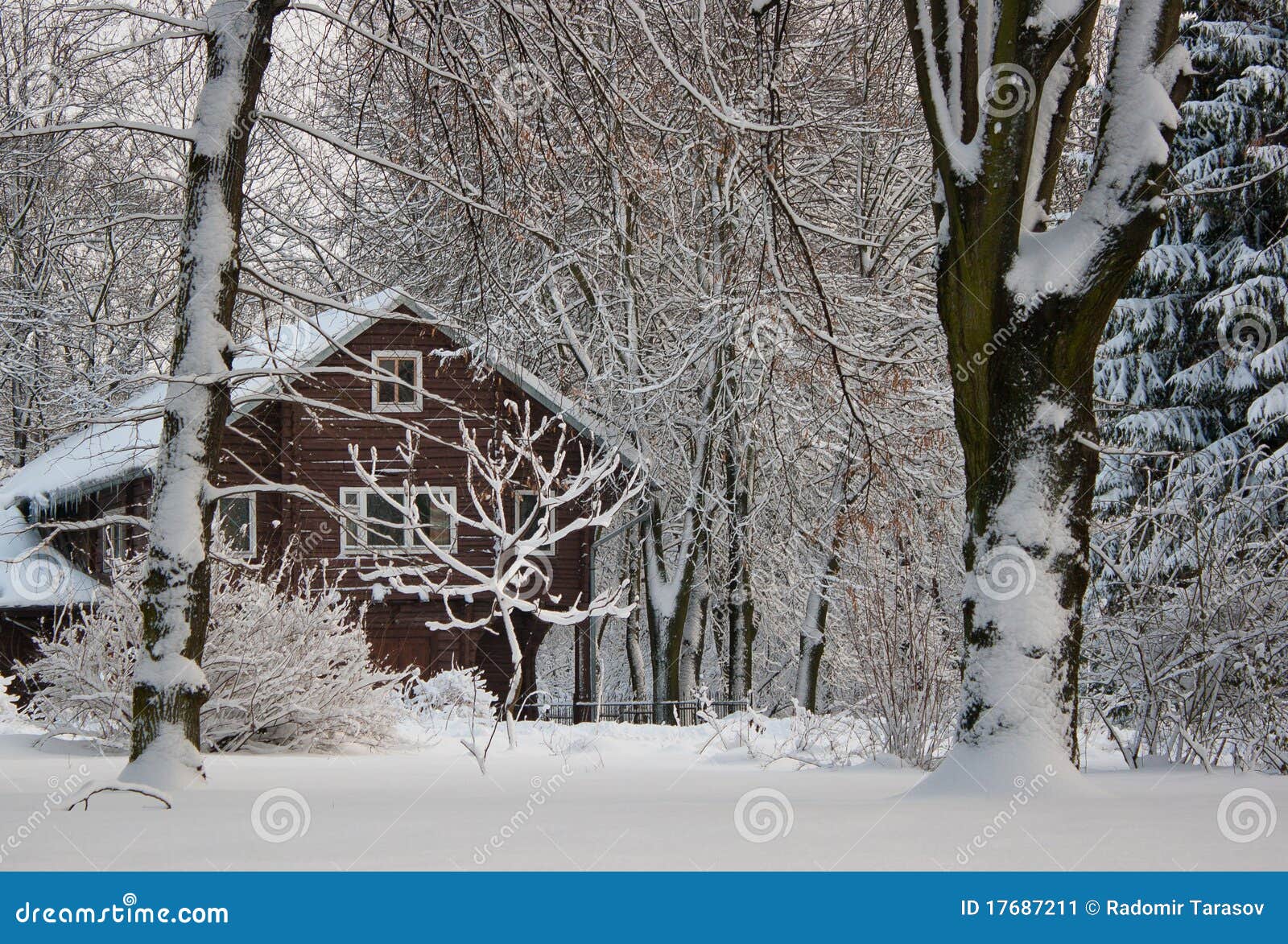 The snowy house stock image. Image of winter, tree, landscape - 17687211