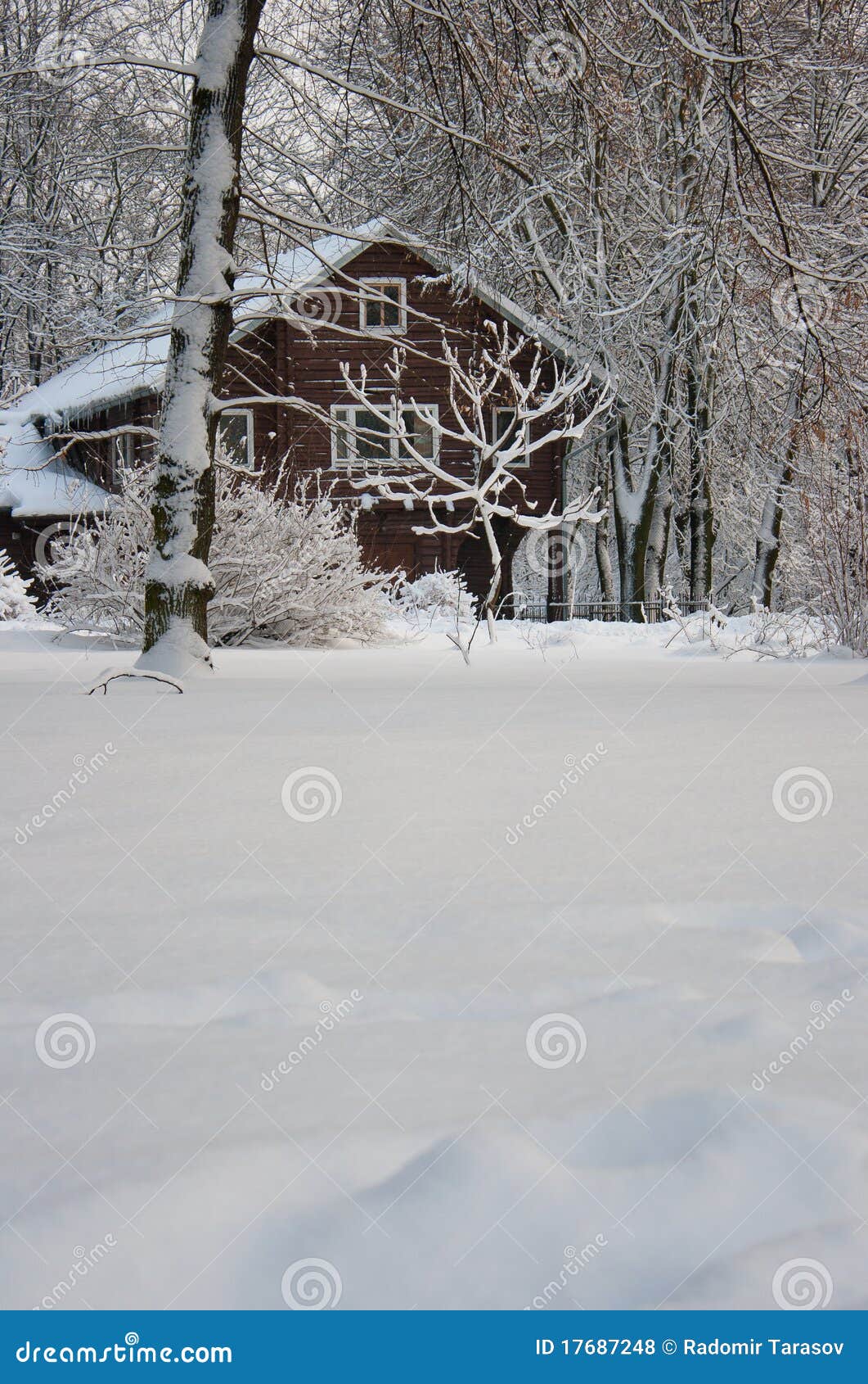 The snowy house stock photo. Image of blizzard, nature - 17687248