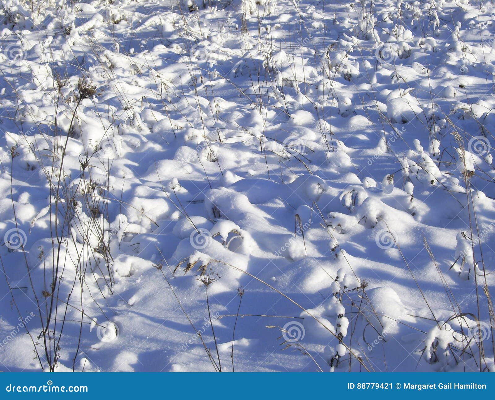 Snowy Hummocks Over Grass in Field Stock Image - Image of shadows ...