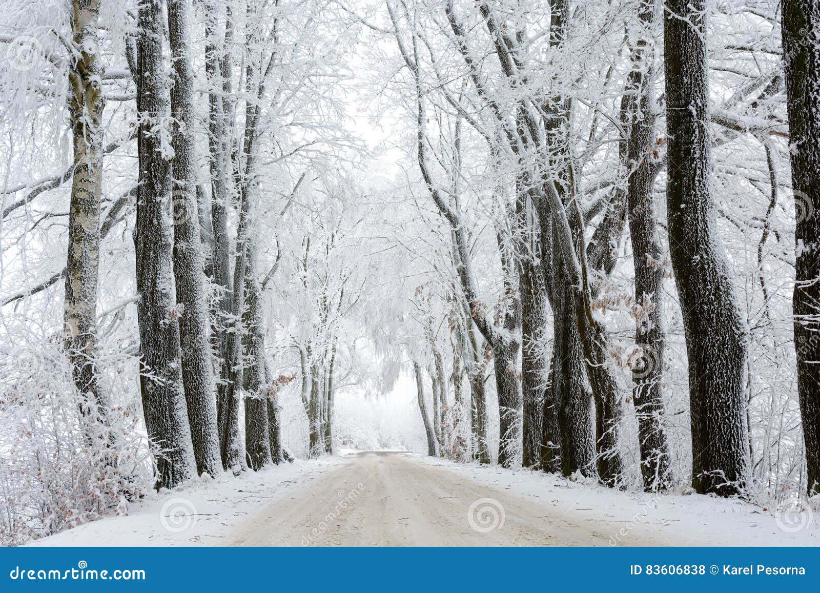 Snowy and Icy Road during Heavy Snow Fall Stock Photo - Image of hill ...