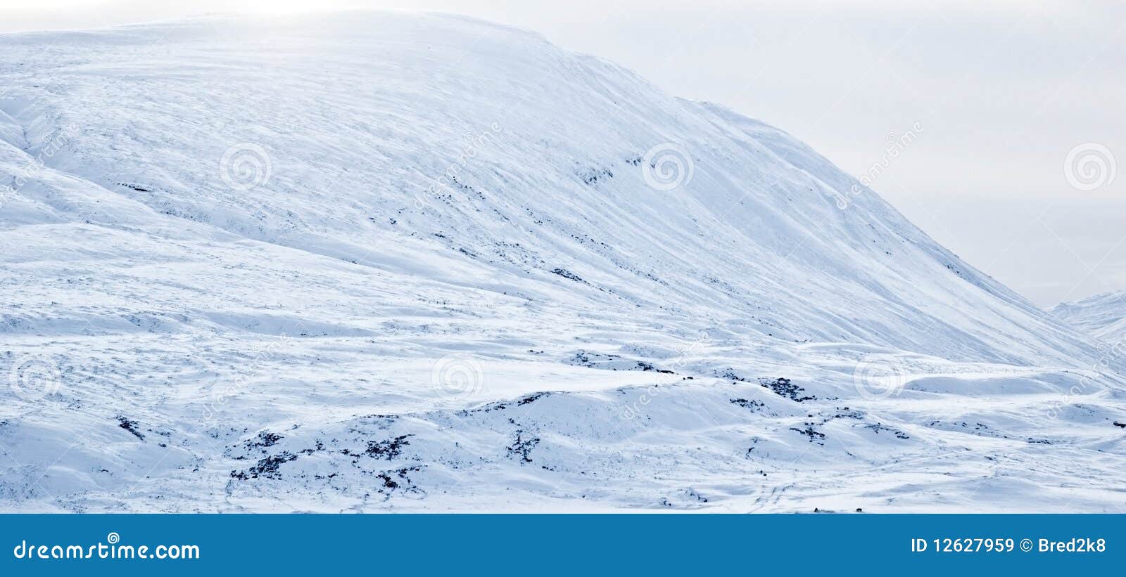 Snowy landscape stock image. Image of nature, stream - 12627959