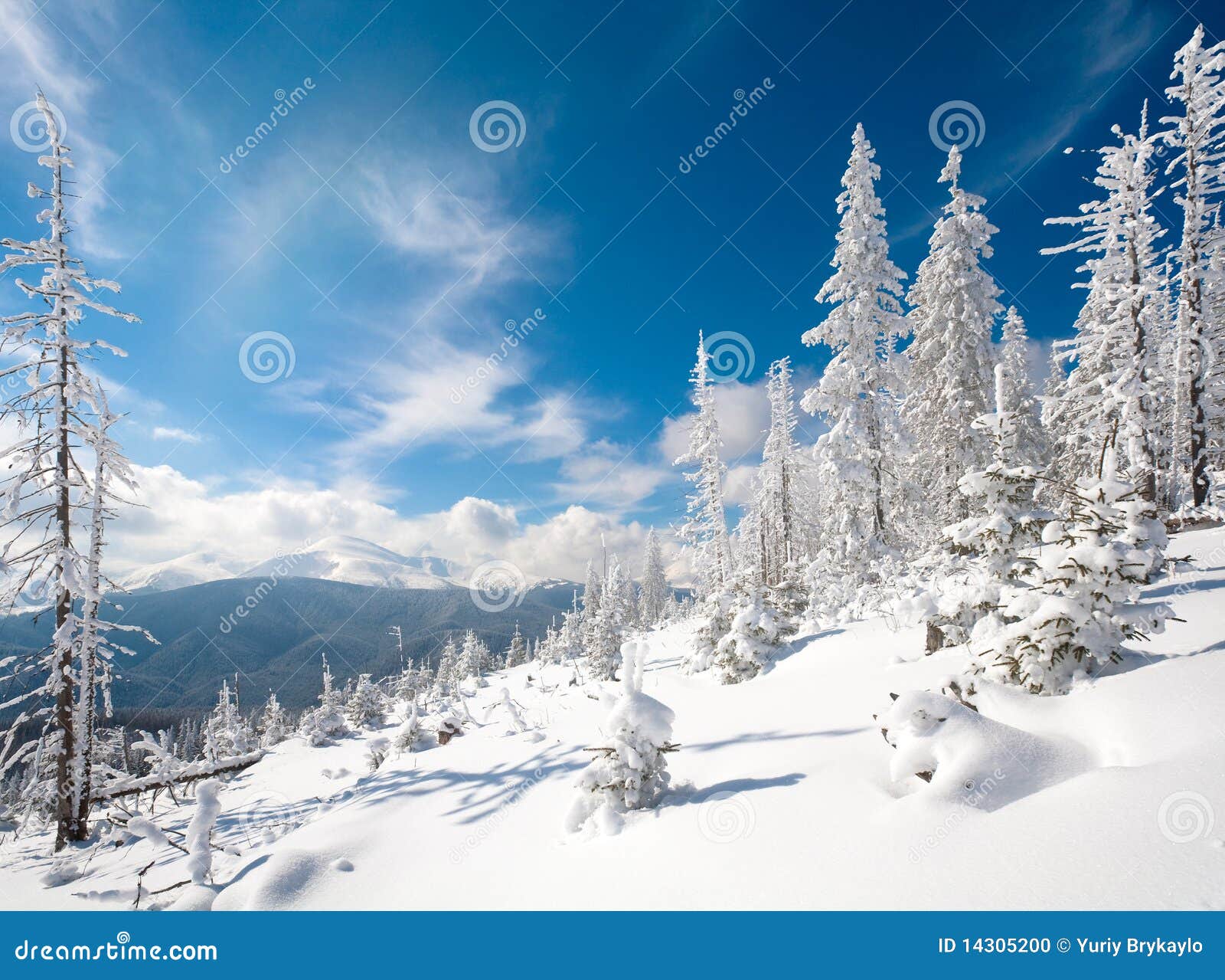 Snowy landscape stock photo. Image of nature, ukraine - 14305200