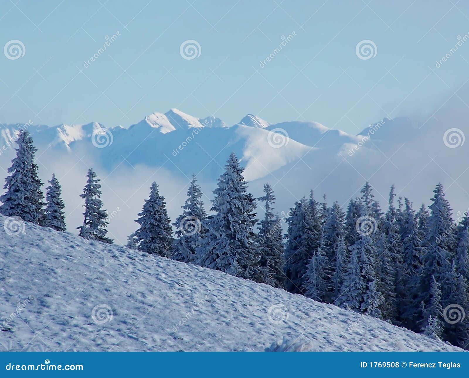 Snowy landscape stock photo. Image of peaks, landscape - 1769508