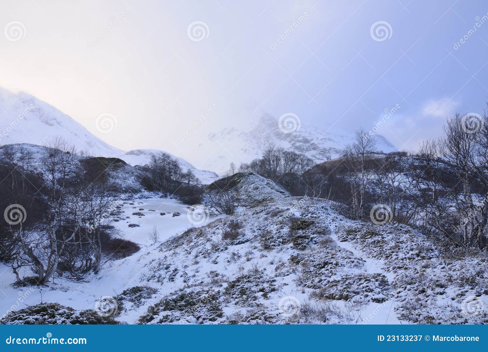 Snowy landscape stock image. Image of environment, bright - 23133237