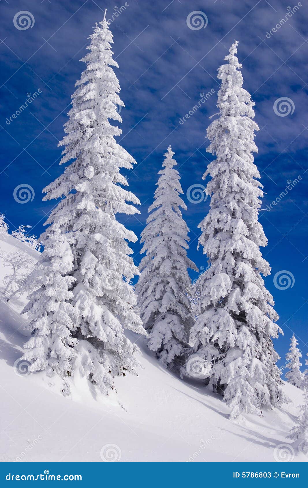 Snowy landscape stock image. Image of fresh, idyll, cold - 5786803