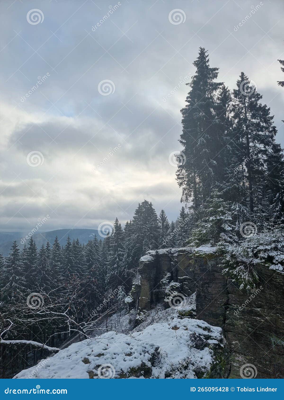 Snowy Landscape, Cliffs and Trees in the Woods Stock Photo - Image of ...