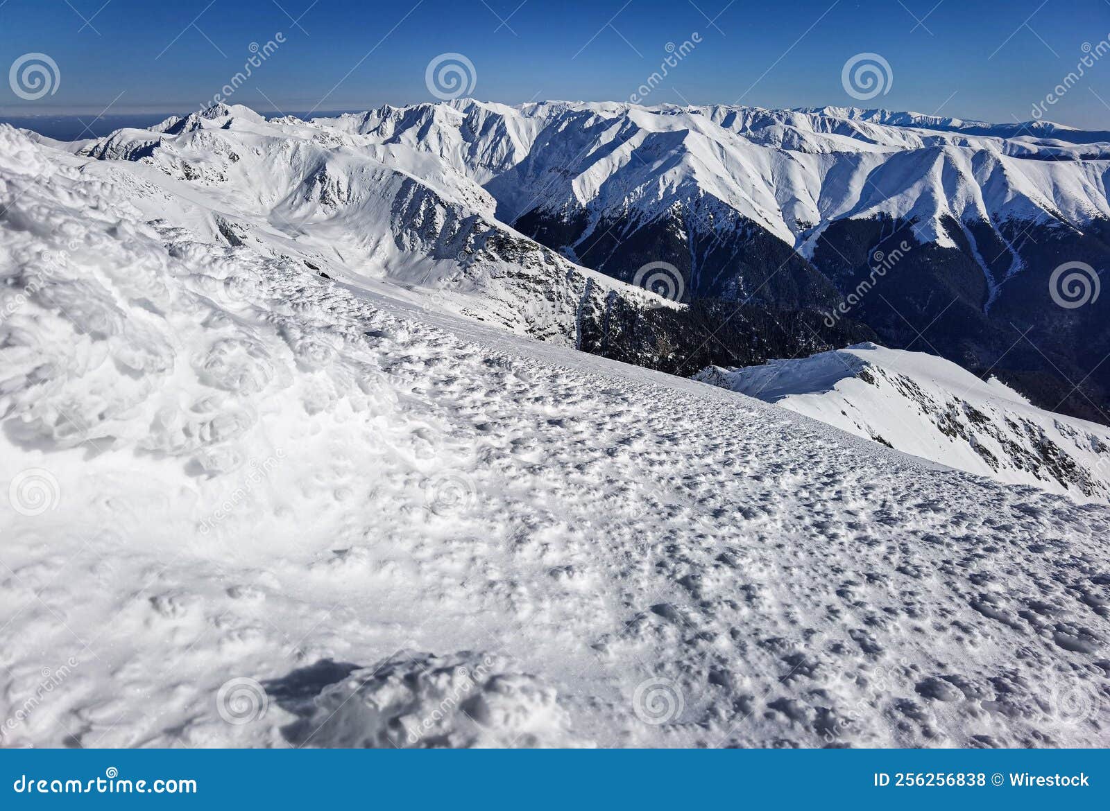 Snowy Landscape of Highlands Stock Photo - Image of frost, sunny: 256256838
