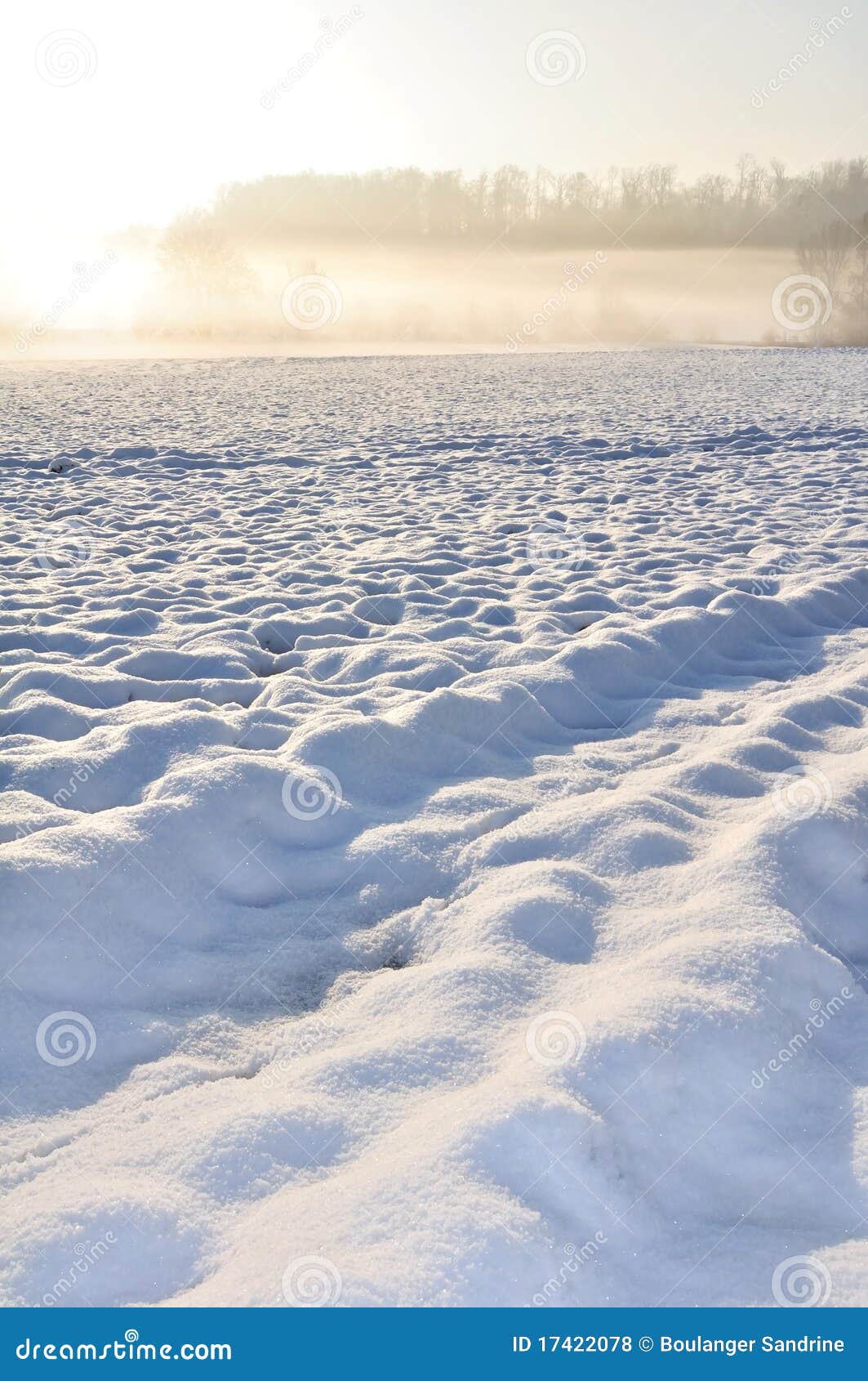 Snowy landscape and misty stock photo. Image of morning - 17422078