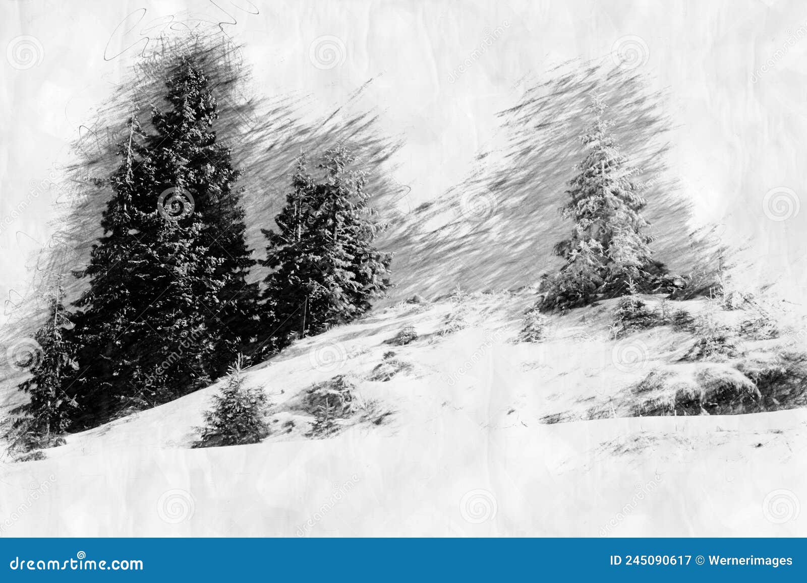 Snowy Landscape with Trees in a Pencil Drawing Style Stock Image ...