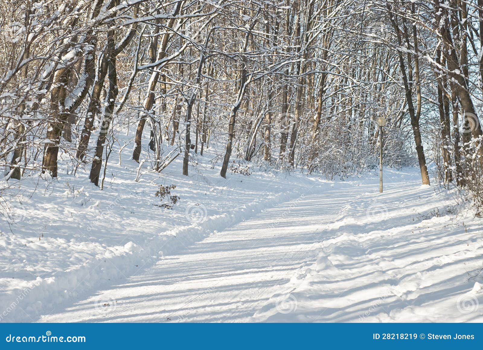 Snowy Lane stock image. Image of hike, country, countryside - 28218219