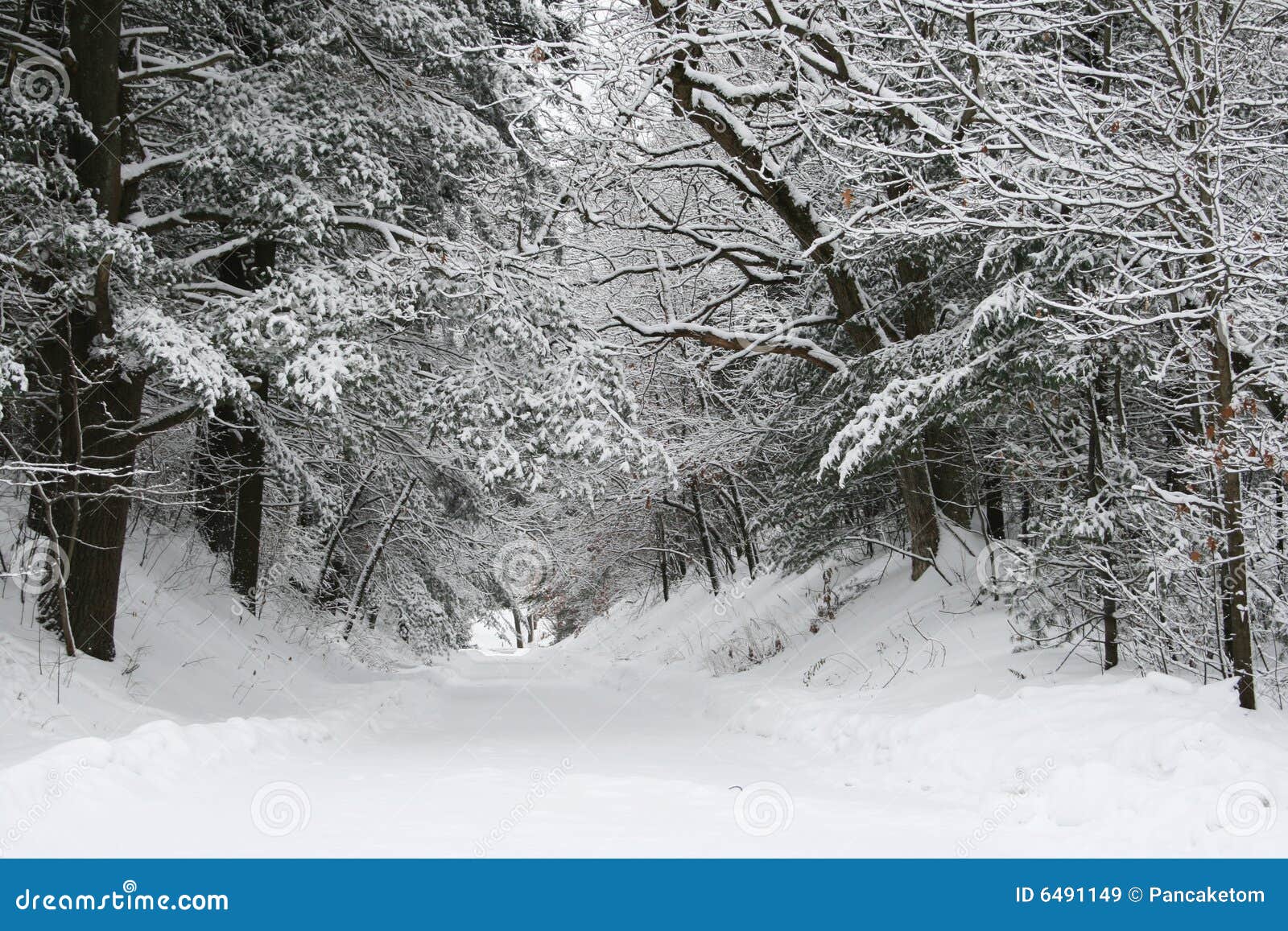 Snowy lane stock image. Image of contrast, lane, overcast - 6491149