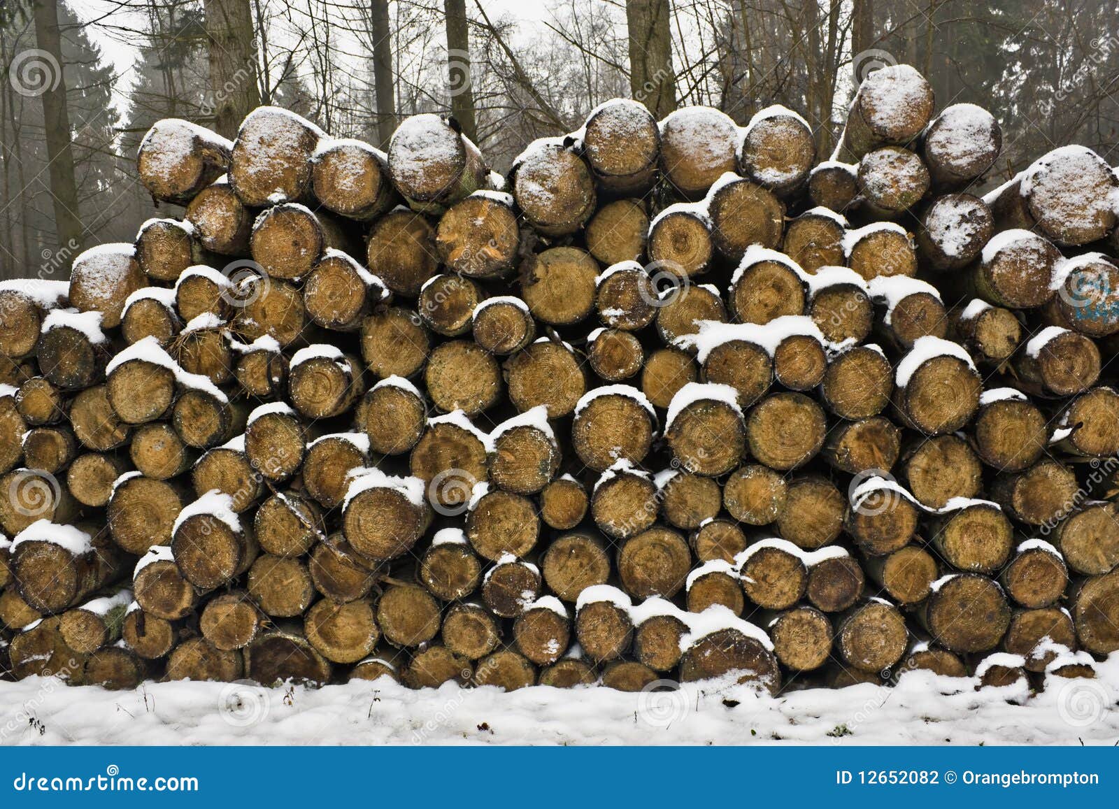 Snowy logs stock photo. Image of trees, timber, frozen - 12652082