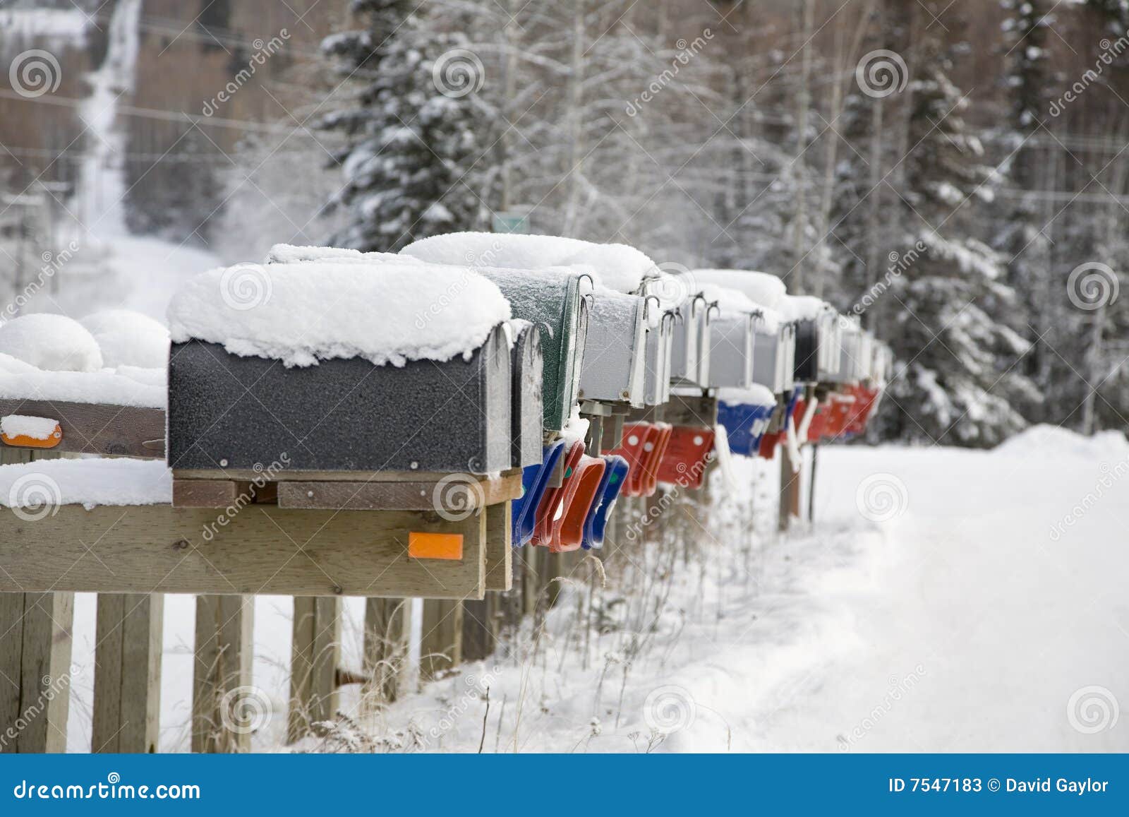 Snowy Mail Boxes All in Row Stock Image - Image of postal, snow: 7547183