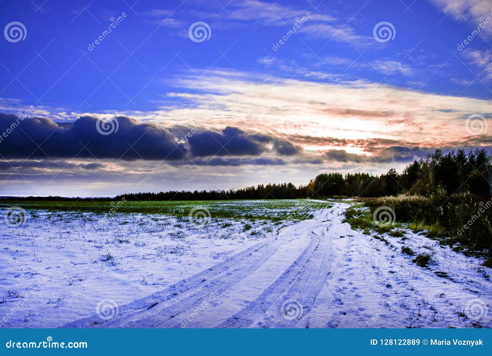 Snowy meadow in the forest stock image. Image of grass - 128122889