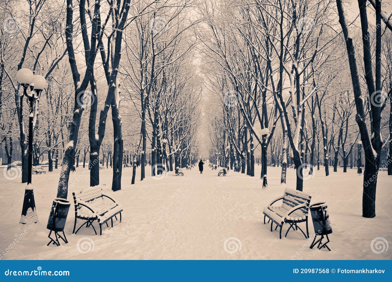 A snowy morning stock photo. Image of tonemaped, snow - 20987568