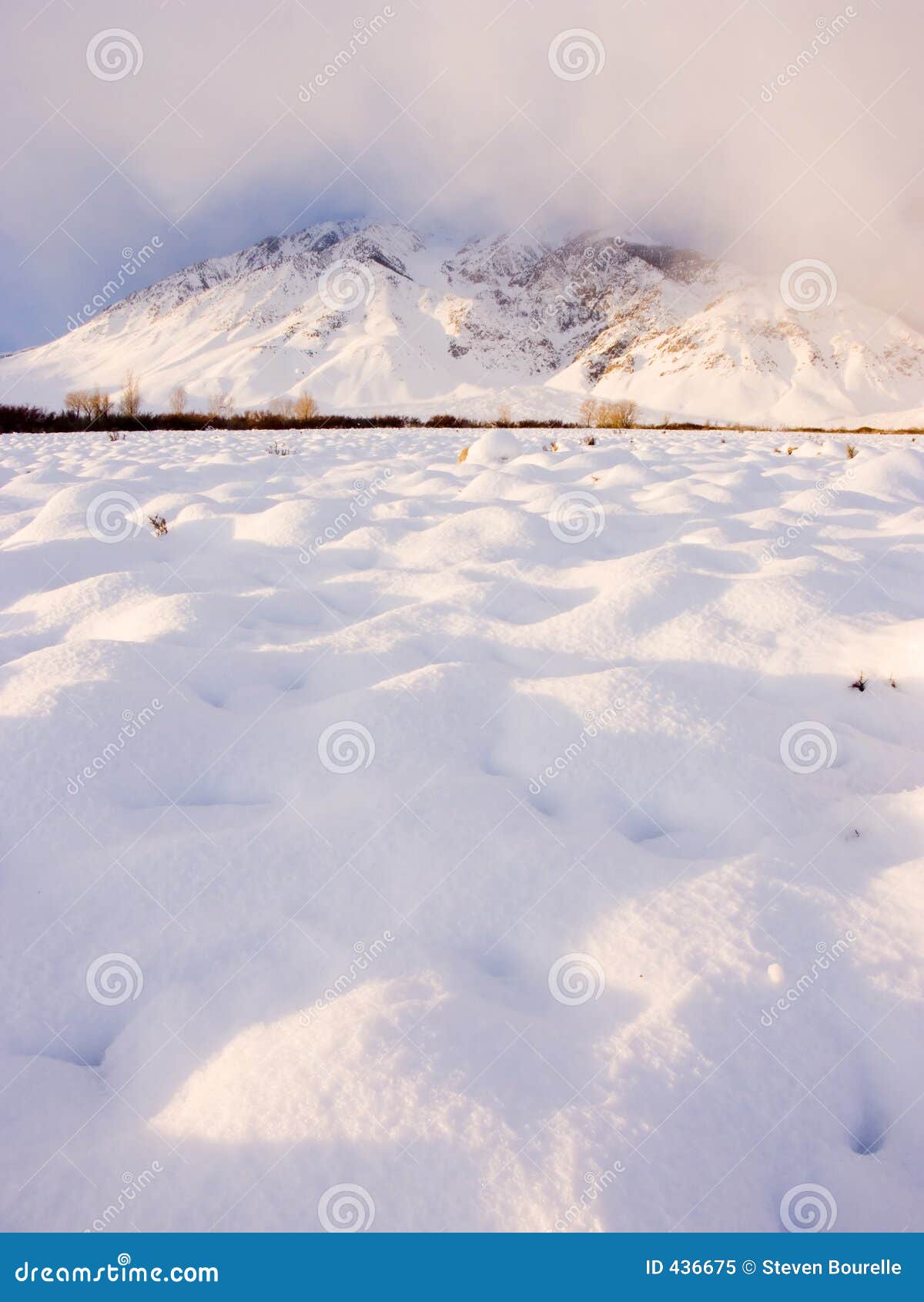 Snowy Morning stock image. Image of cloud, christmas, card - 436675