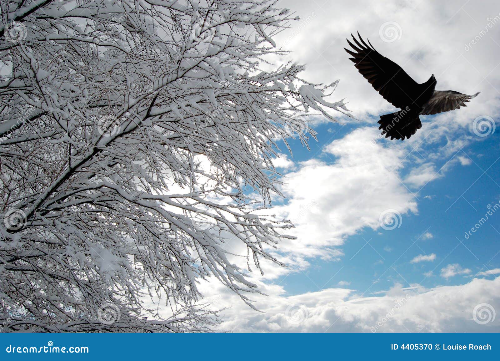 Snowy Morning stock photo. Image of postcard, natural - 4405370