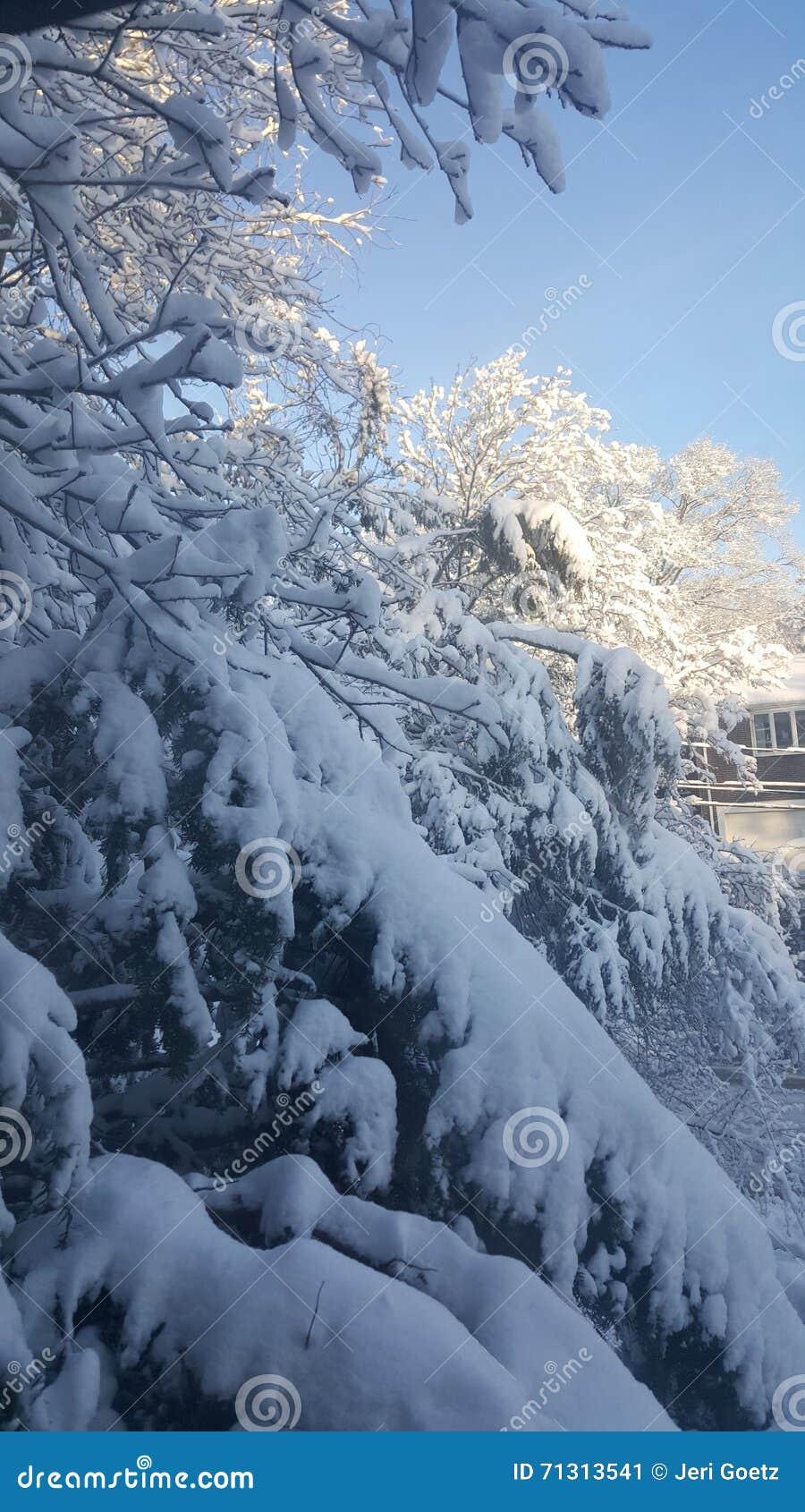 Snowy morning stock image. Image of snow, morning, blue - 71313541