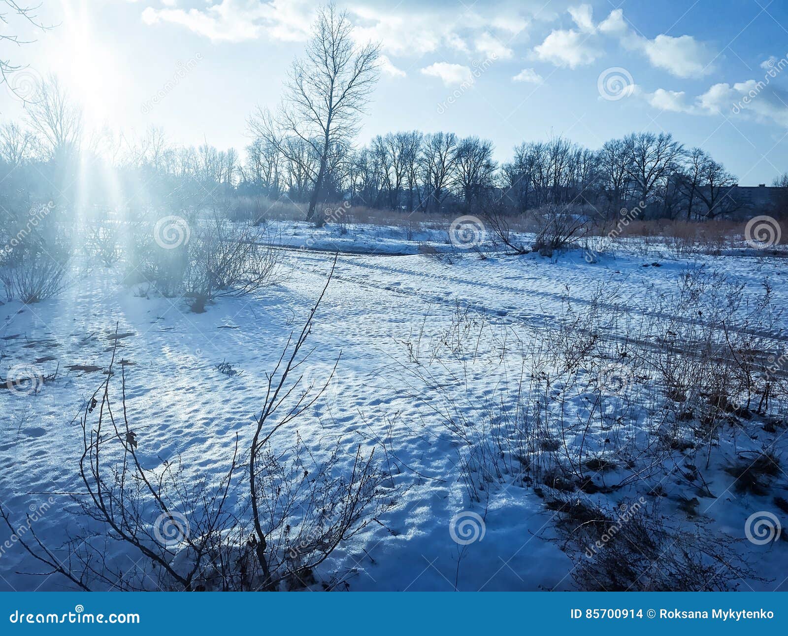 Snowy Morning in the Sun in the Winter Stock Photo - Image of park ...