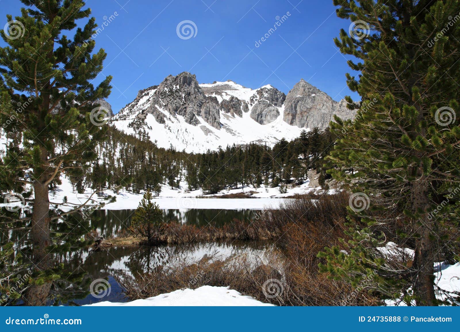 Snowy Mountain Lake stock photo. Image of valley, flower - 24735888